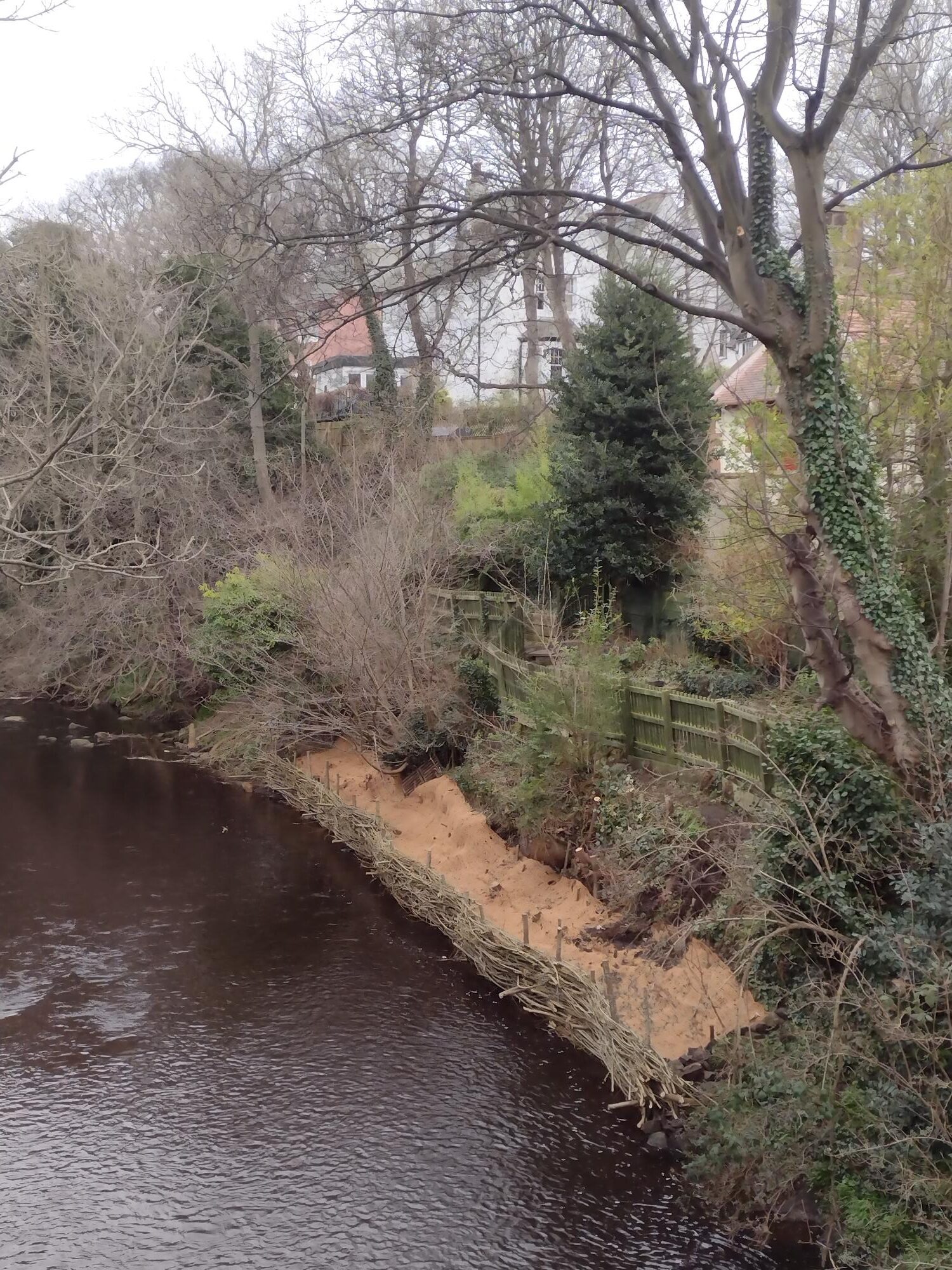 Willow Spiling - Earth Calling